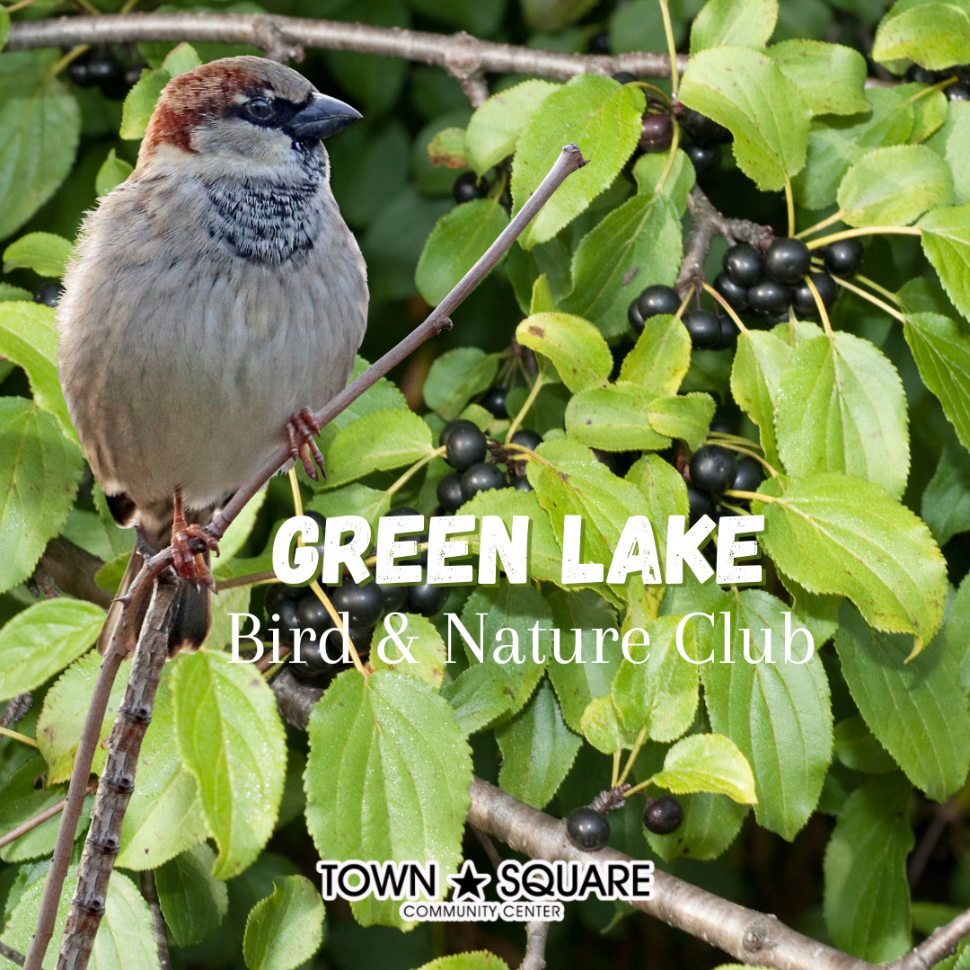 Green Lake Bird & Nature Club | Town Square Community Center