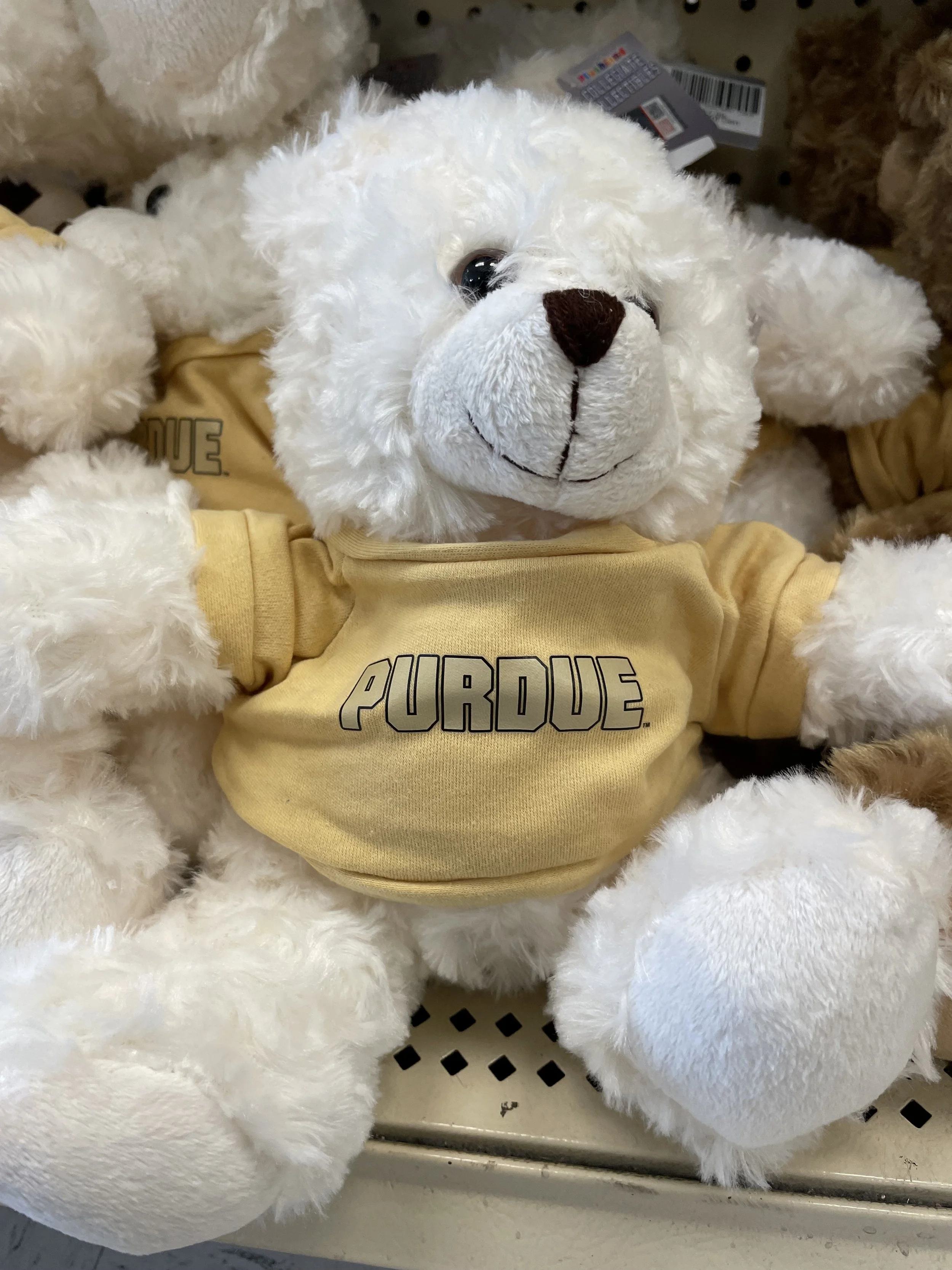 Toys & Games Stuffed Animals & Plushies Purdue Plush Teddy Bear Bears ...