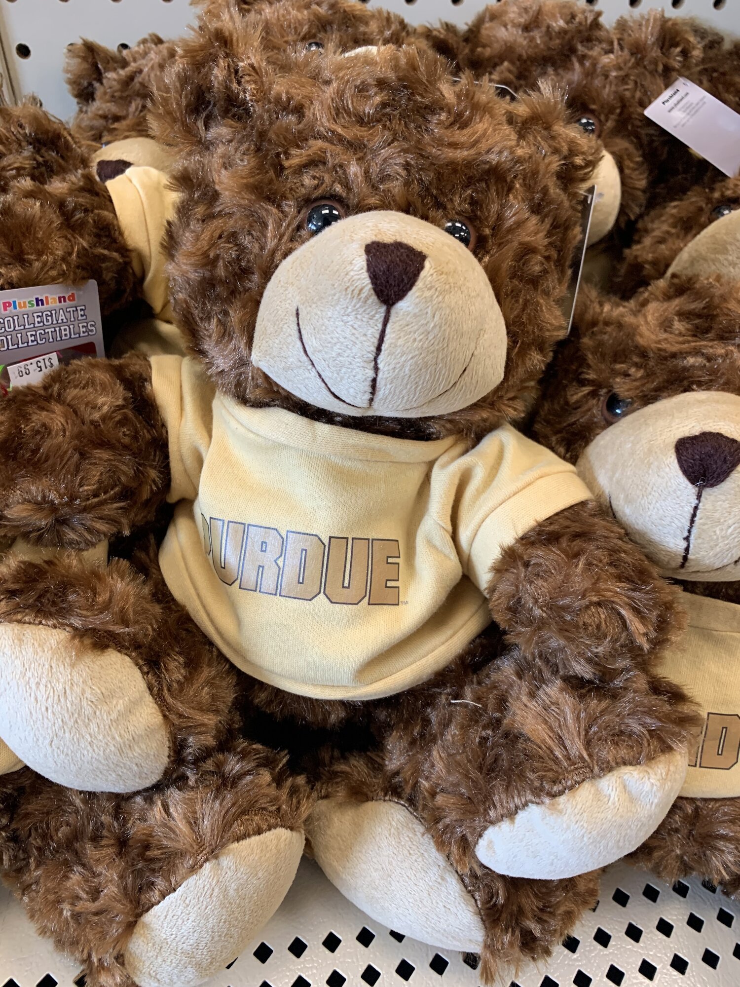 Toys & Games Stuffed Animals & Plushies Purdue Plush Teddy Bear Bears ...