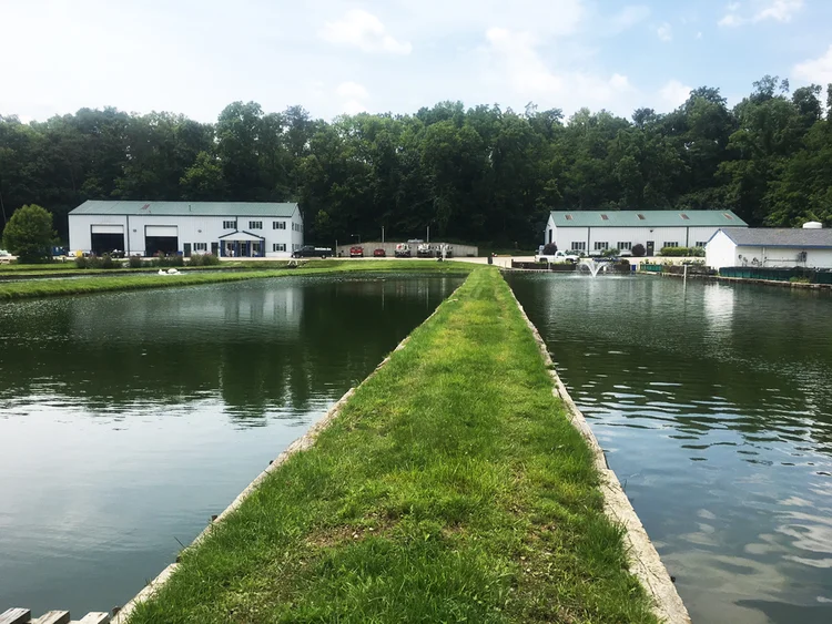 Ohio Aquaculture Association