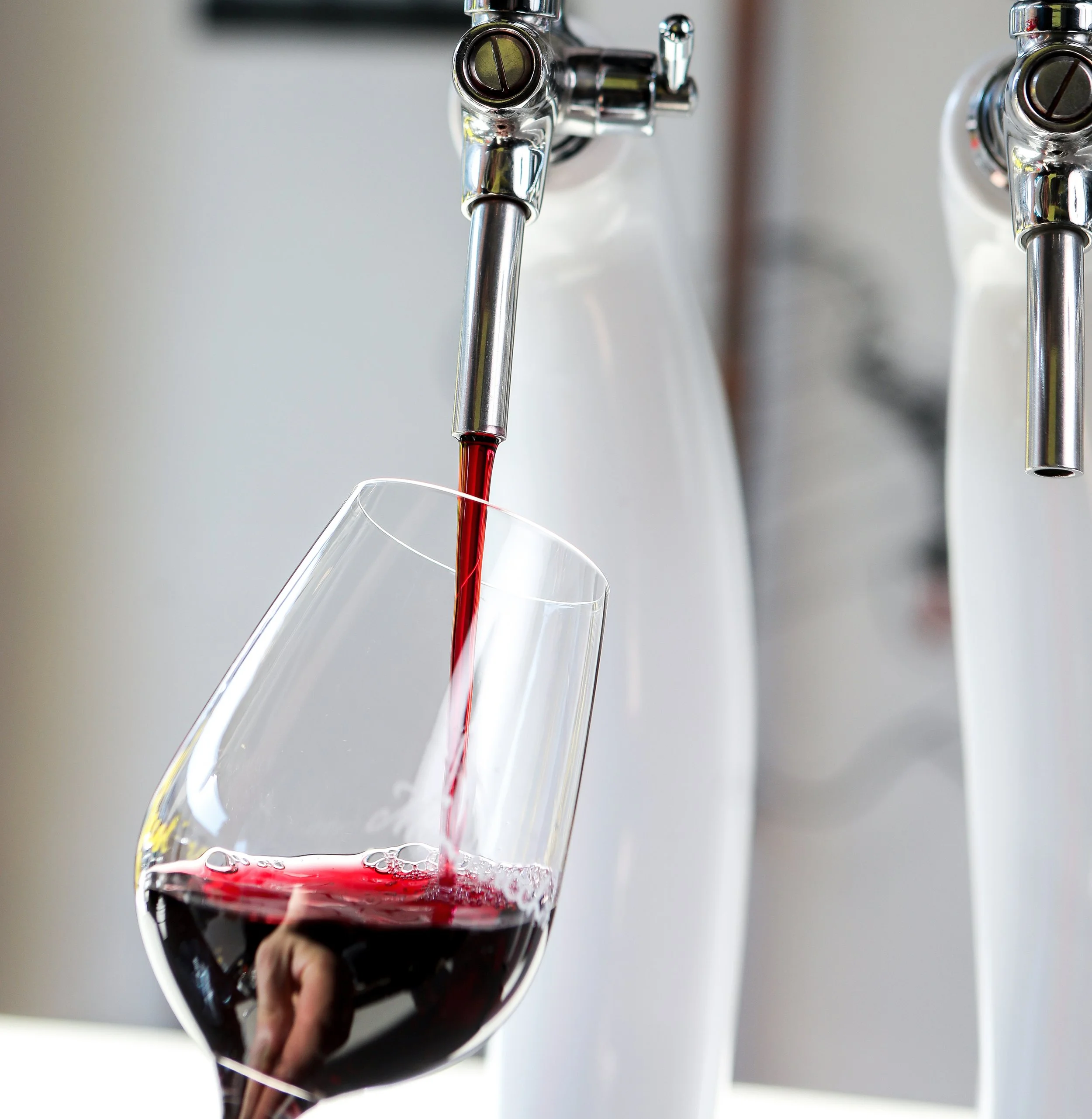 Wines — TAP. Wines