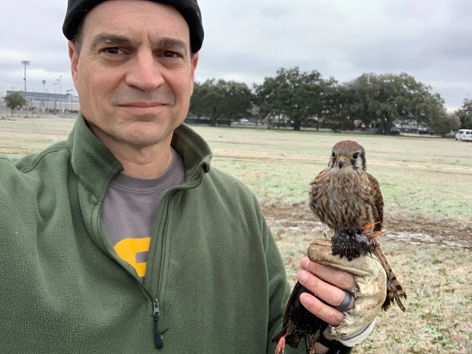 Podcast — Falconry Told