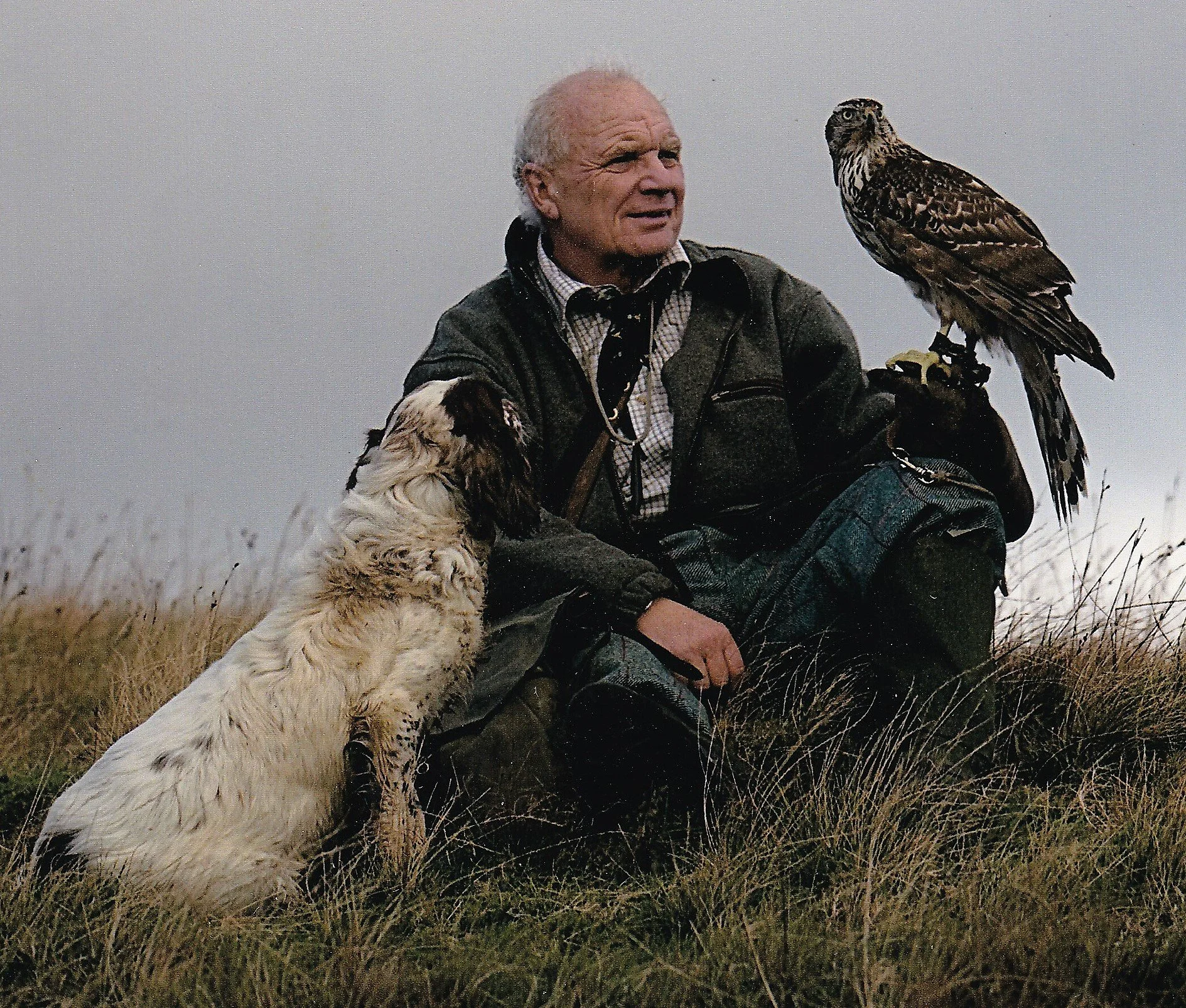 Golden Eagle Falconry