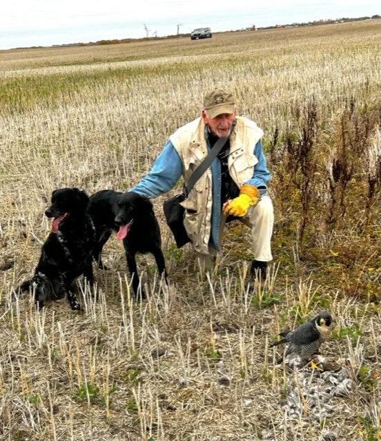 Podcast — Falconry Told