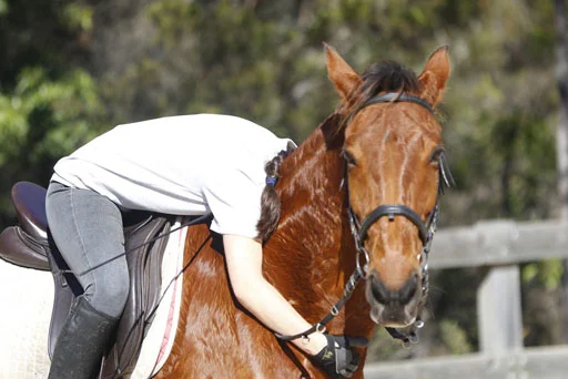 Terrey Hills Riding School