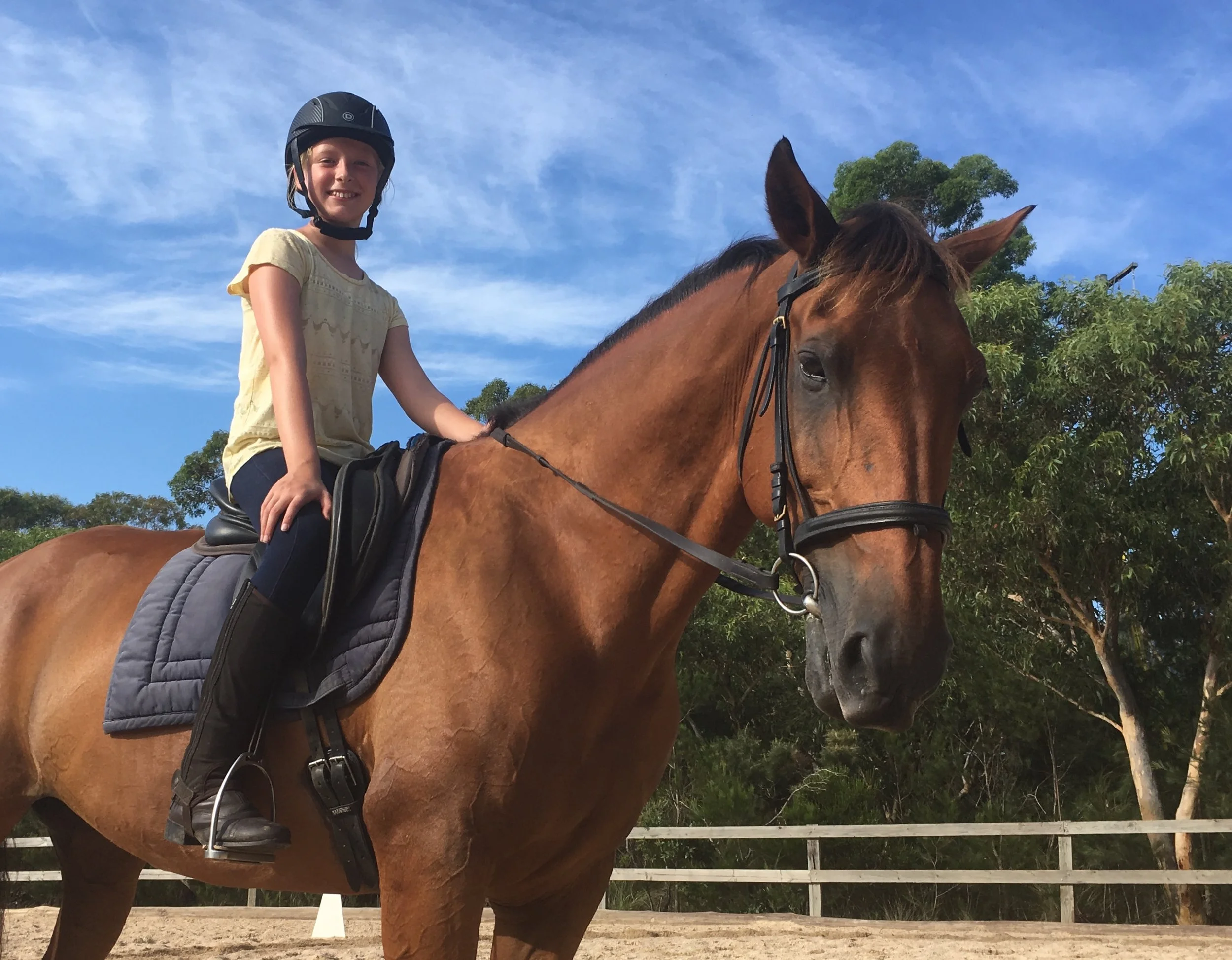 Riding Lessons — Terrey Hills Riding School