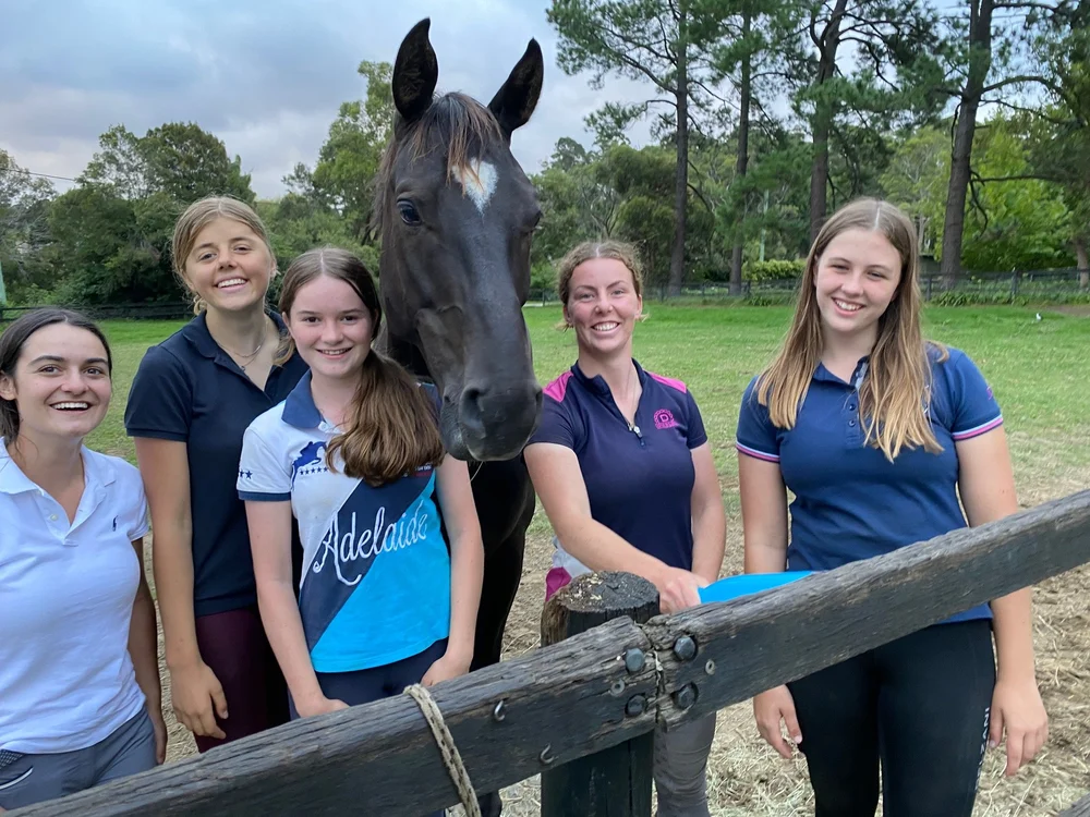 Our Horses — Terrey Hills Riding School