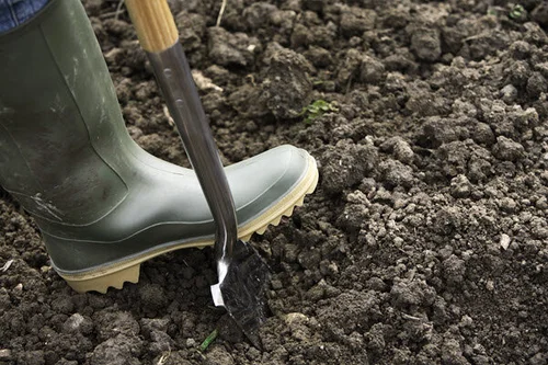 The 6 Best Gardening Shoes