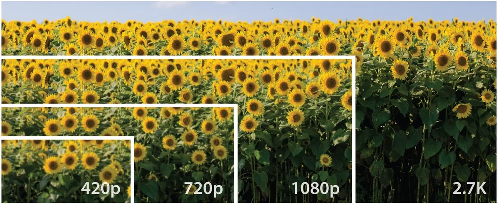 MND20 44 MP / 2.7K Quad HD Digital Camera — Minolta Digital