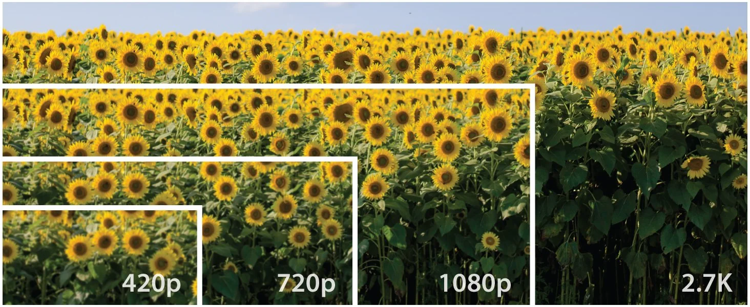 MND20 44 MP / 2.7K Quad HD Digital Camera — Minolta Digital