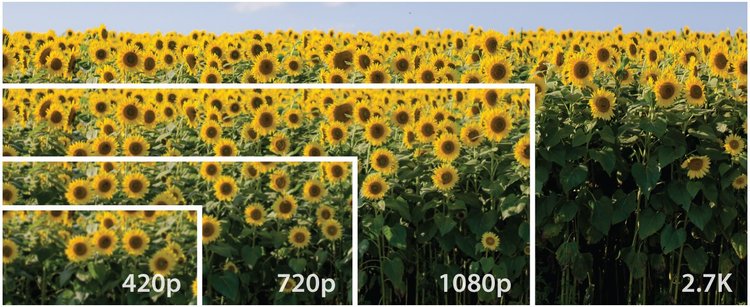 MND30 30MP 2.7K Digital Camera — Minolta Digital