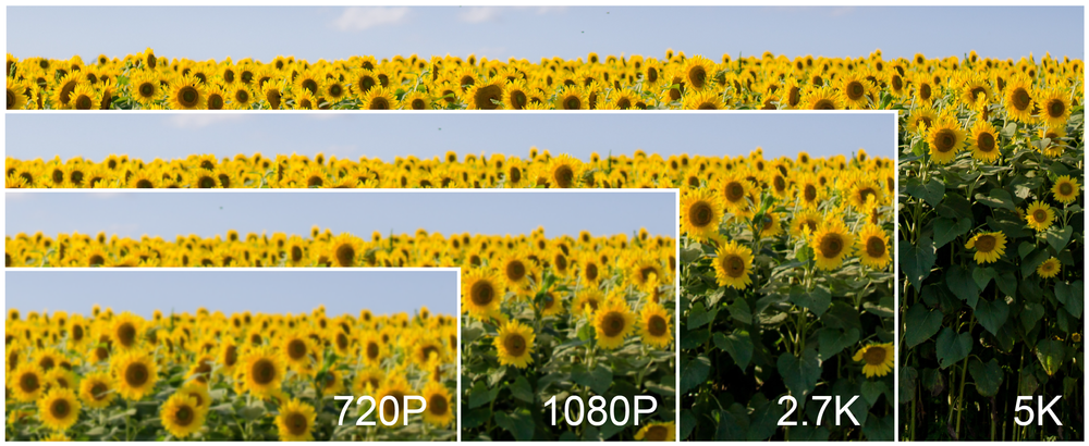 MN5KGP1 5K Ultra HD / 20 MP Handheld Pocket Camcorder w/Motorized ...