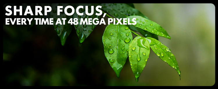 MND23 48MP Auto Focus 4K Ultra HD Selfie Camera — Minolta Digital