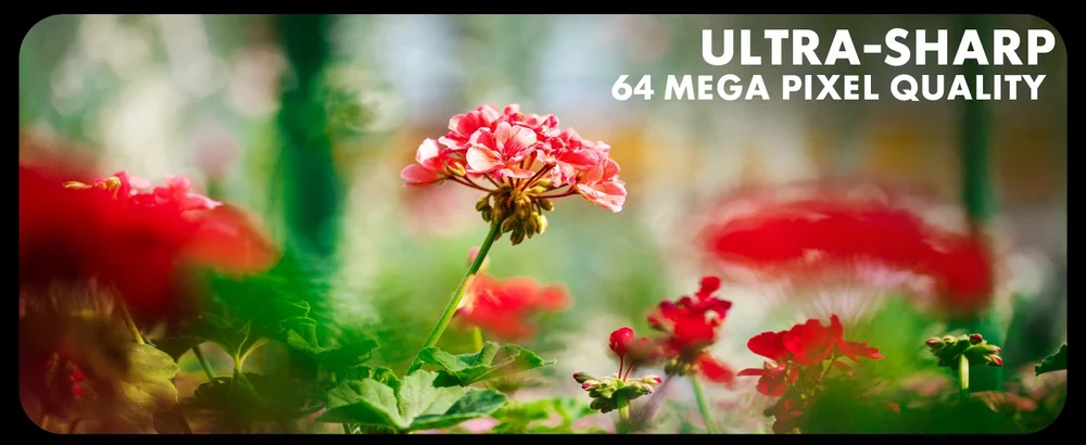 MND55 64 MP Auto Focus / 4K Ultra HD Digital Camera — Minolta Digital