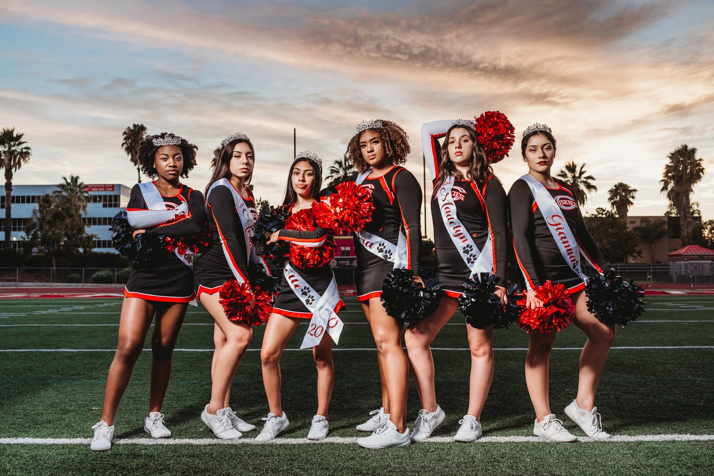 Sports Portraits & Designs — Pretty Witty Designs