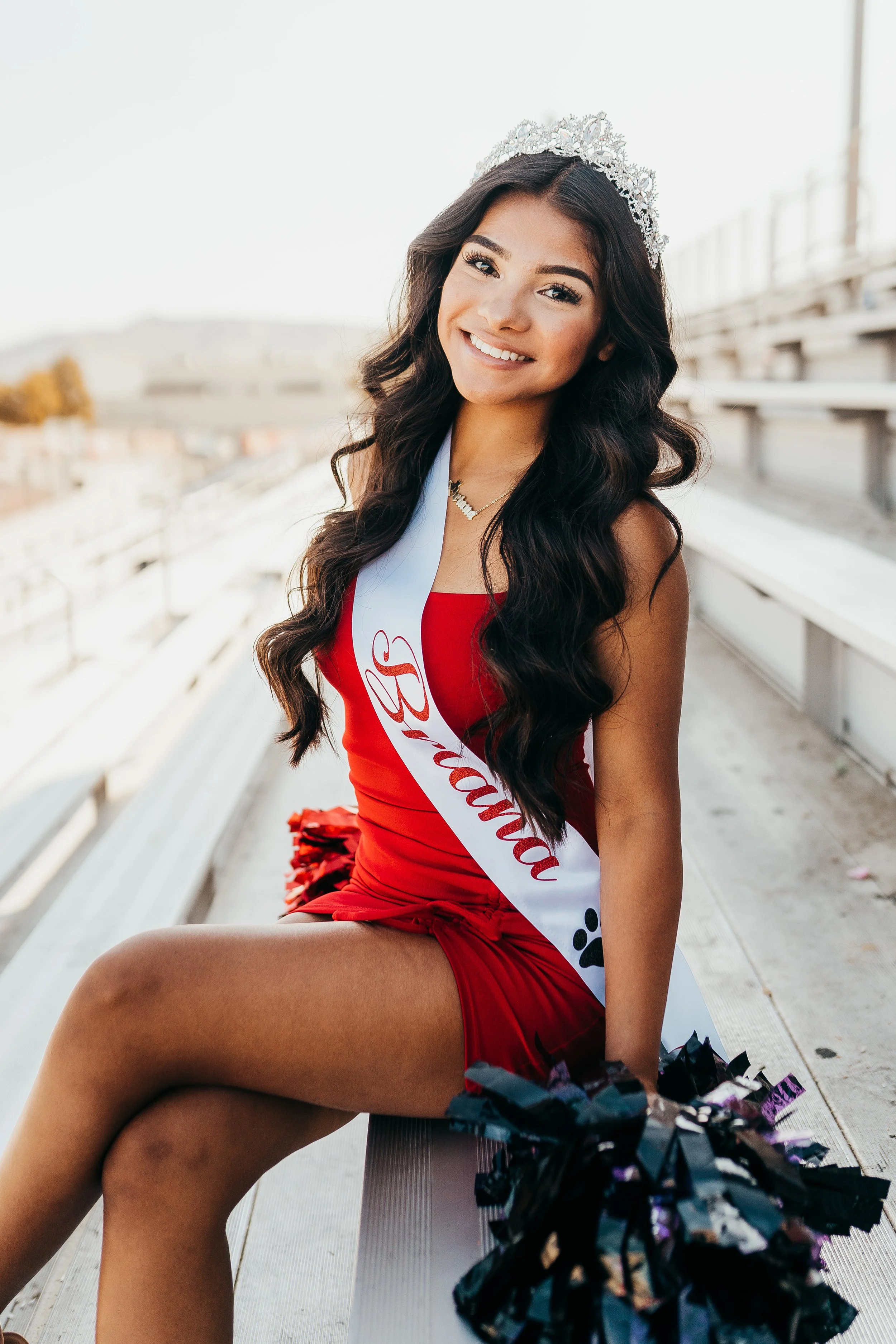 Sports Portraits & Designs — Pretty Witty Designs