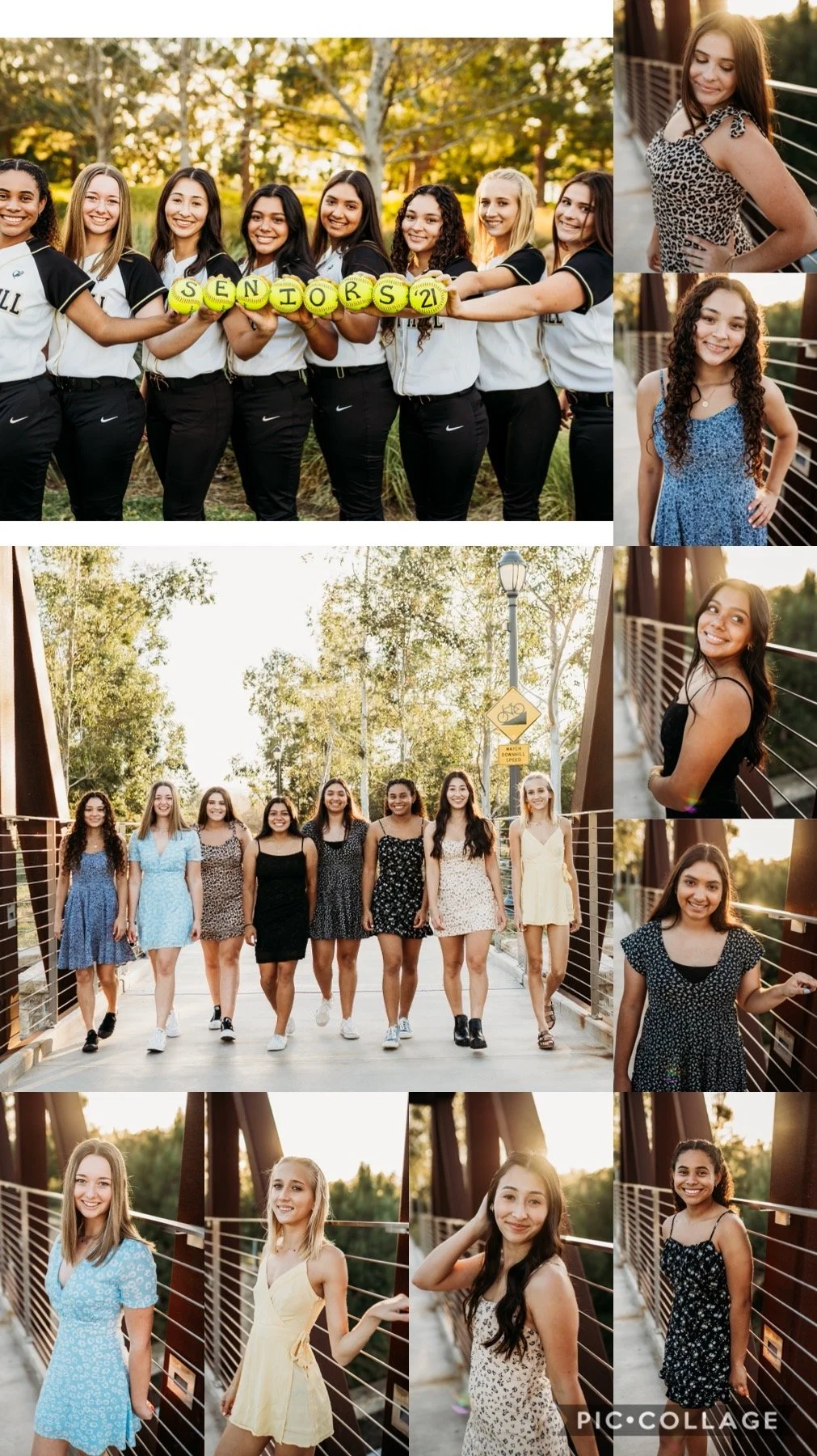 Sports Portraits & Designs — Pretty Witty Designs