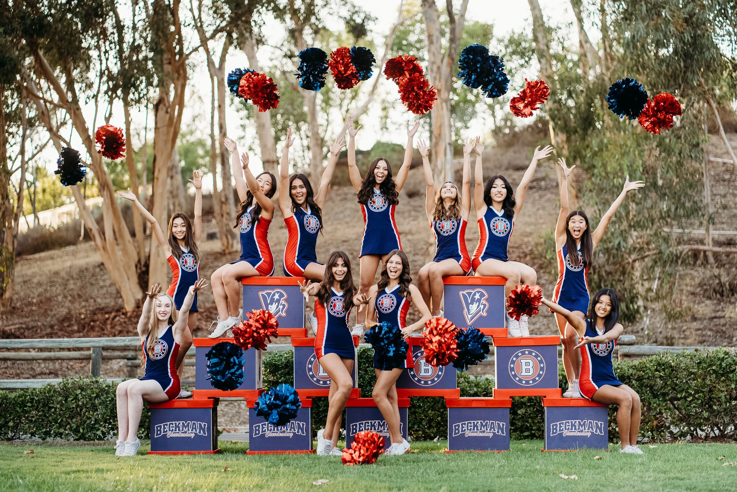 Sports Portraits & Designs — Pretty Witty Designs