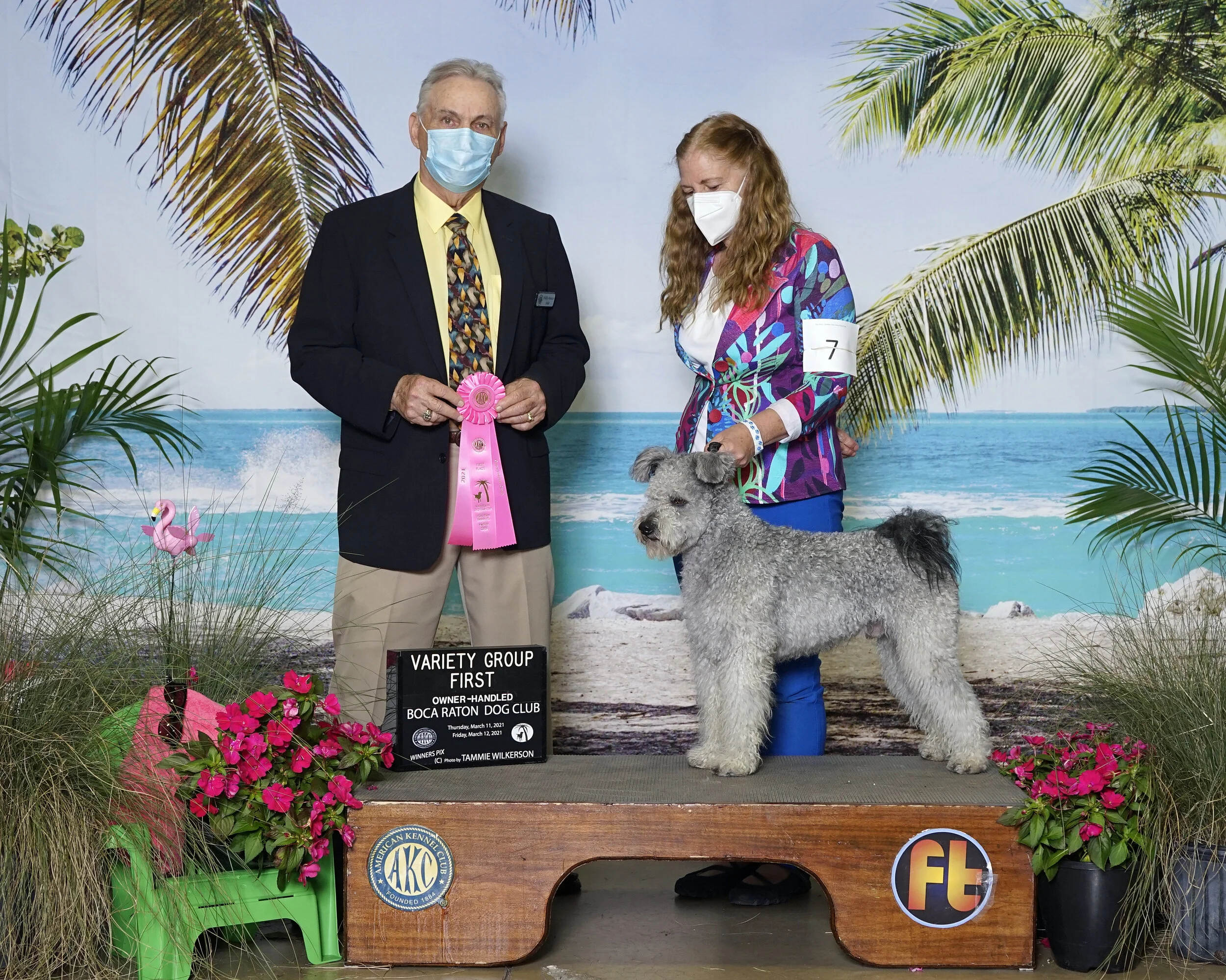 Cyon's Dogs — Cyon Duck Tollers