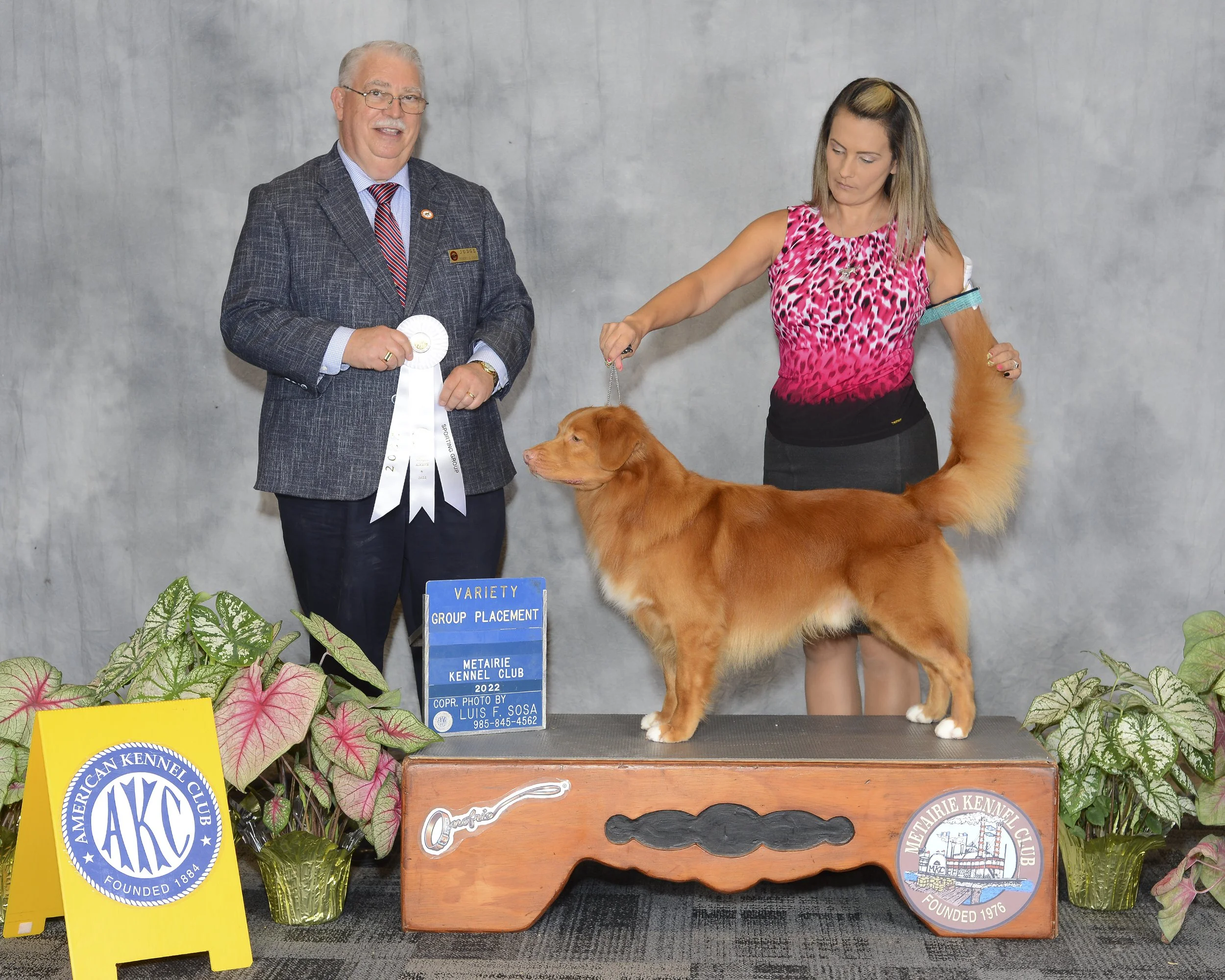 Cyon's Dogs — Cyon Duck Tollers