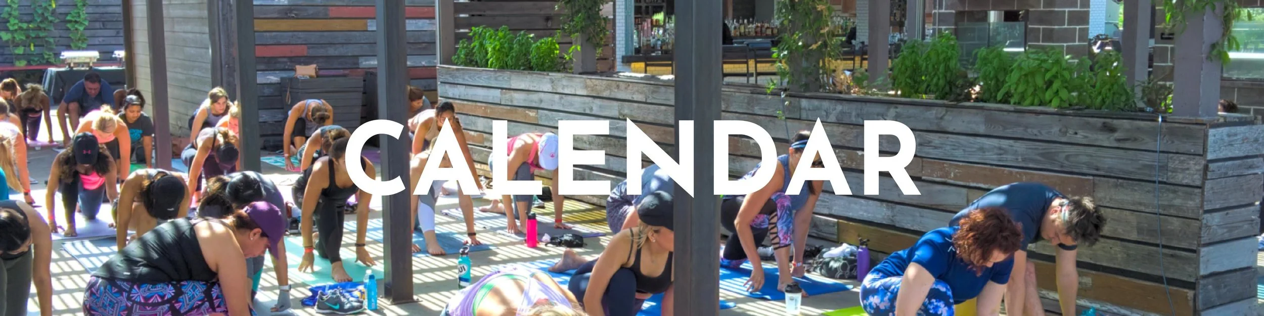 Calendar — Dallasites101