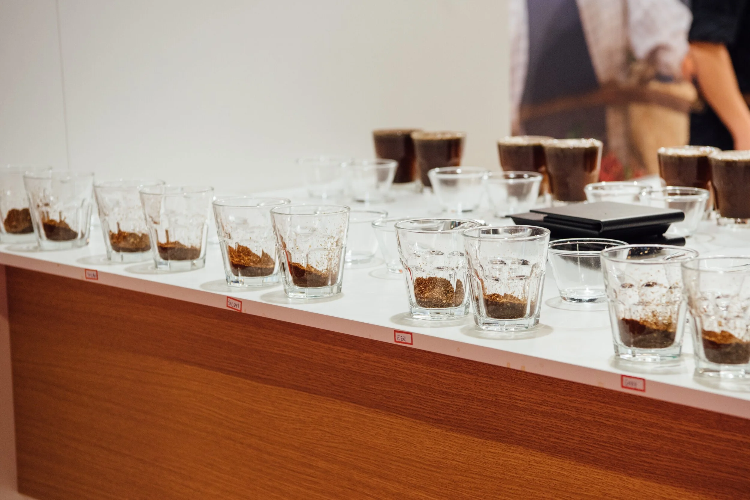 Show Features — World of Coffee