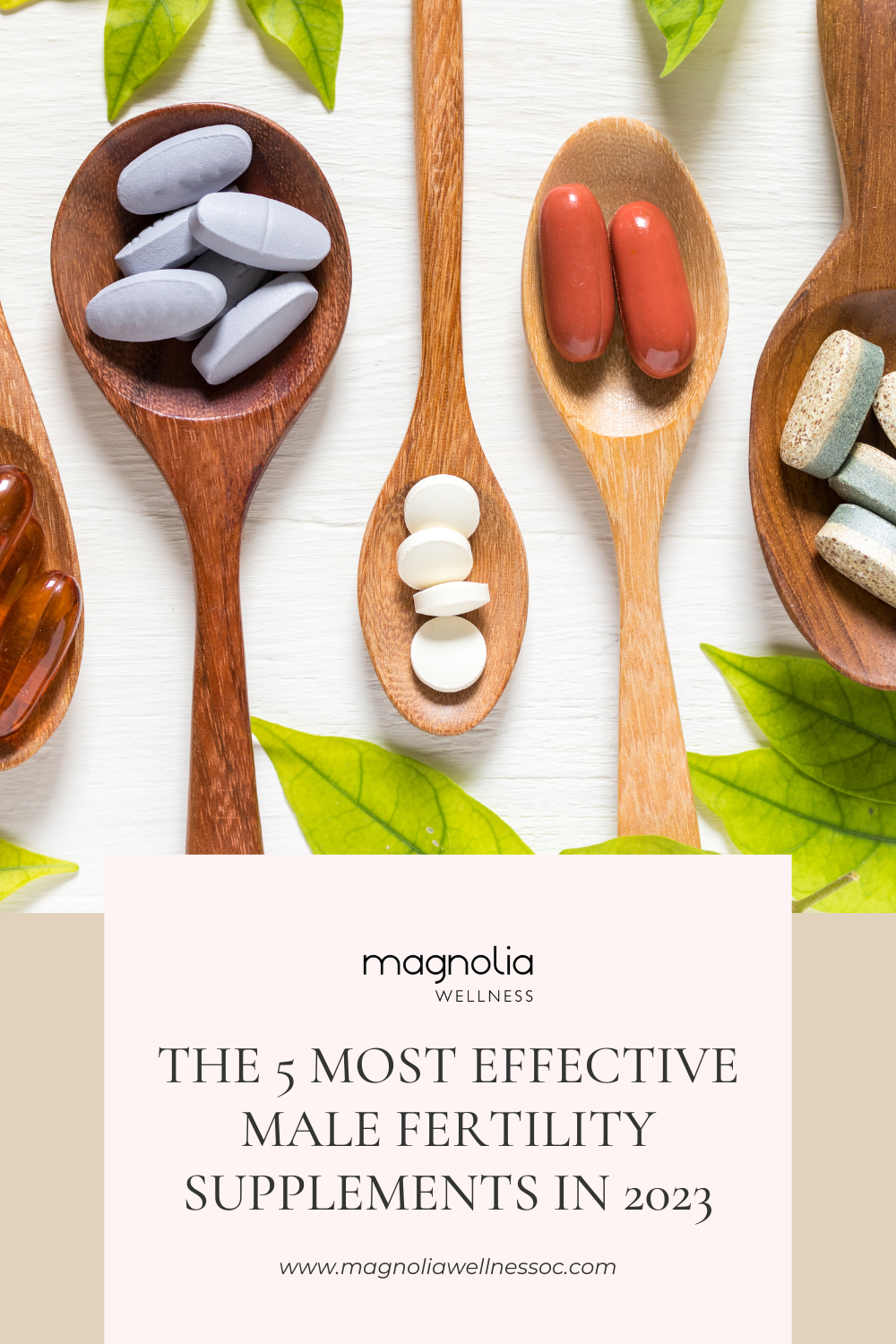 The 5 Most Effective Male Fertility Supplements in 2023 | Magnolia ...
