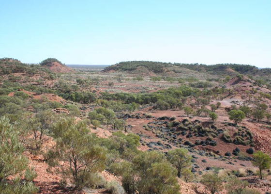 Australian Opal History — Opal Academy