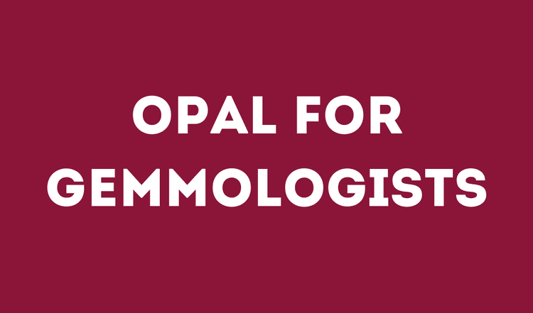 Courses — Opal Academy