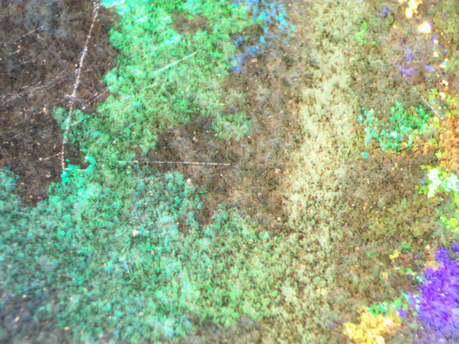 Treatments — Opal Academy