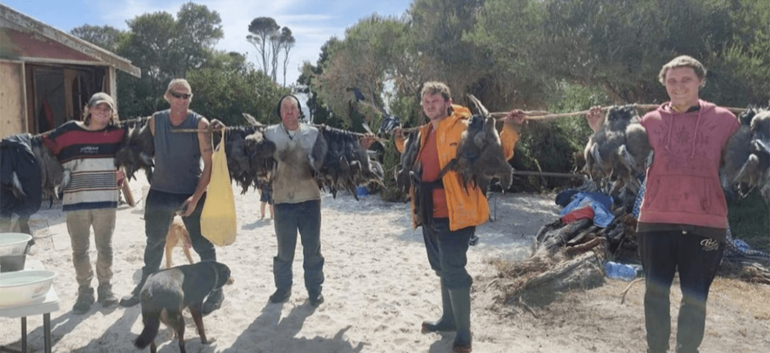 Highlights from muttonbirding 2021 — wukalina Walk | Bay of Fires