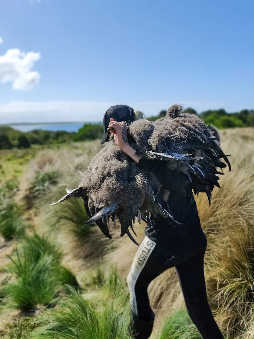 Highlights from muttonbirding 2021 — wukalina Walk | Bay of Fires