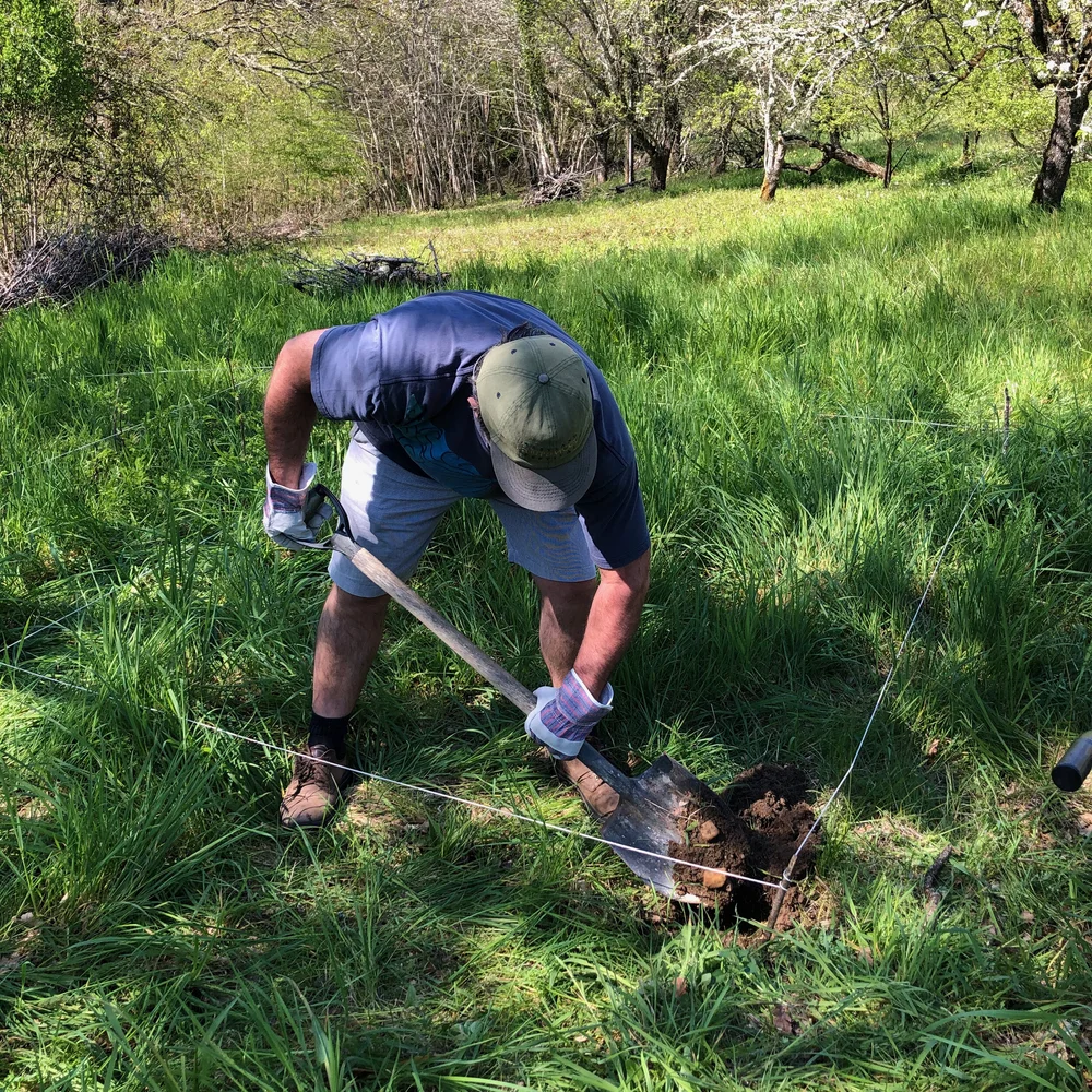 Creating a French Potager — Living a French Life