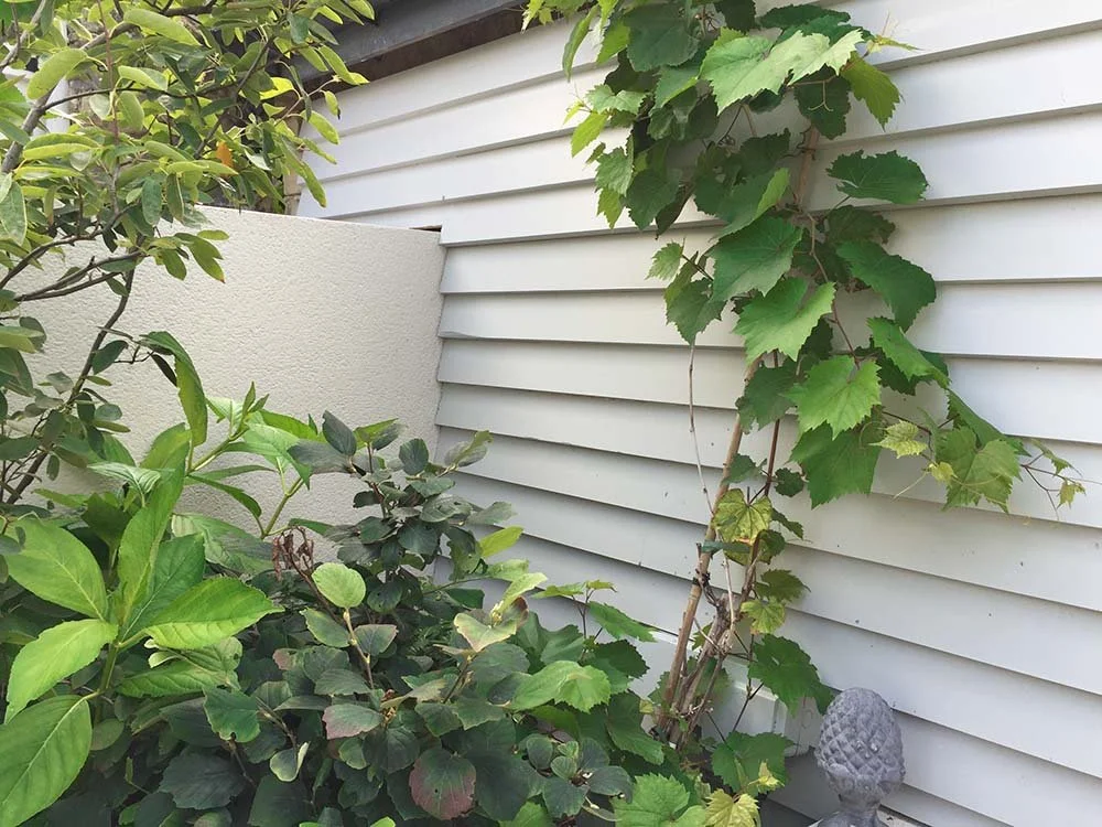 Contemporary outdoor room to a period house, Ilkley — Helen Taylor ...