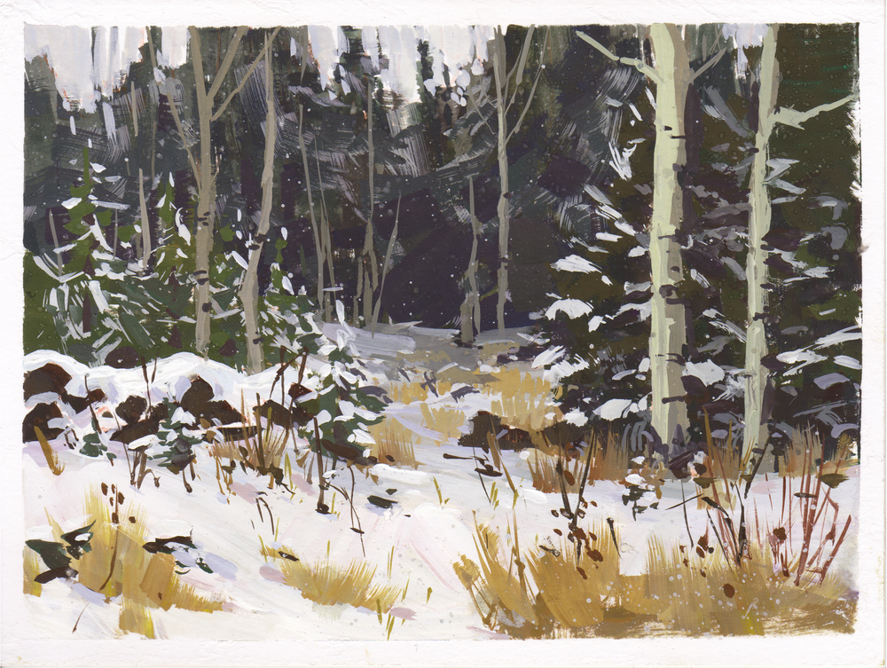 Pein Air Landscapes — Judd Mercer | Contemporary Landscape Paintings