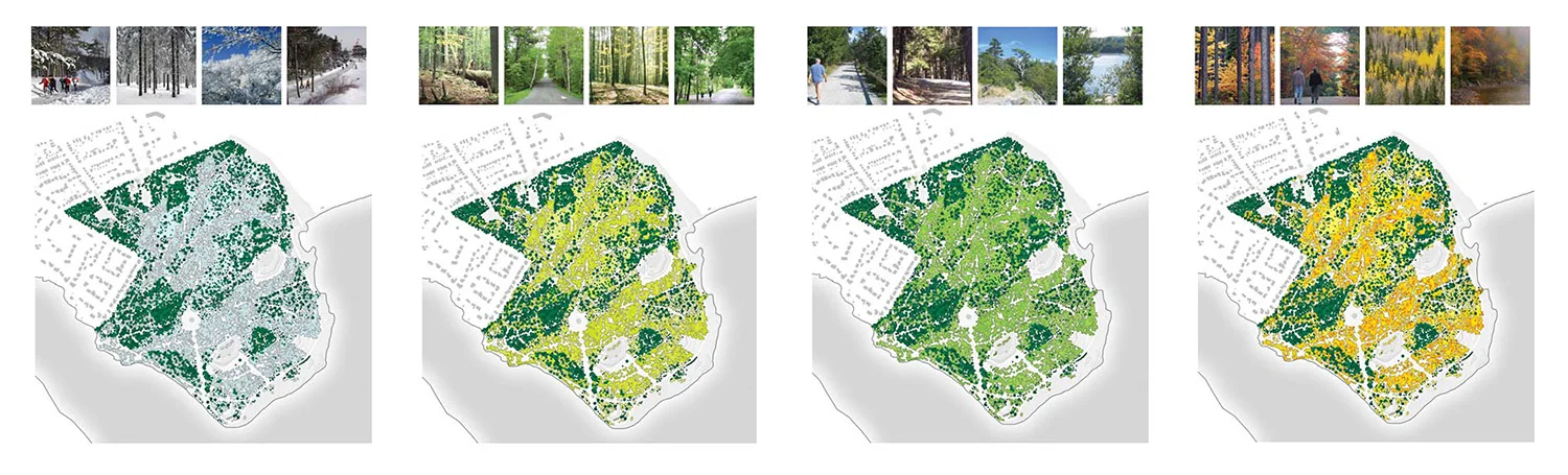 Point Pleasant Park Comprehensive Plan — Fathom