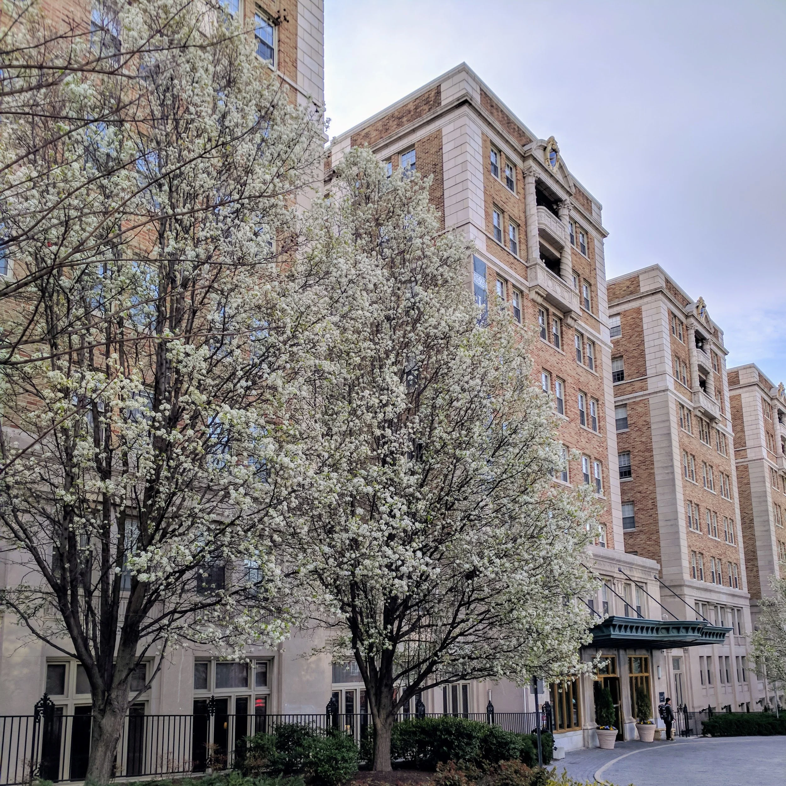 Errick McAdams' Meridian Hill Park Workout — A Crooked Trail or Two