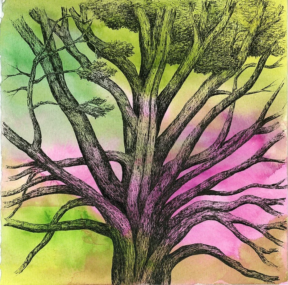 Amplify: Steve Loya — Eric Scott Art Studio