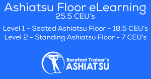 Ashiatsu Training eLearning Sign-Up | SAVE THOUSANDS