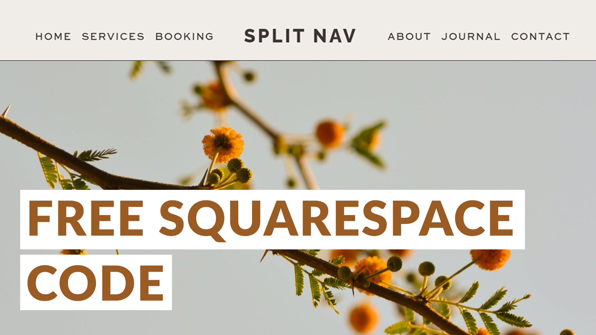 Blog | Squarespace CSS Tips & Tricks