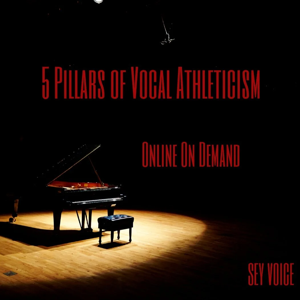 5 Pillars of Vocal Athleticism — Susan Eichhorn Young