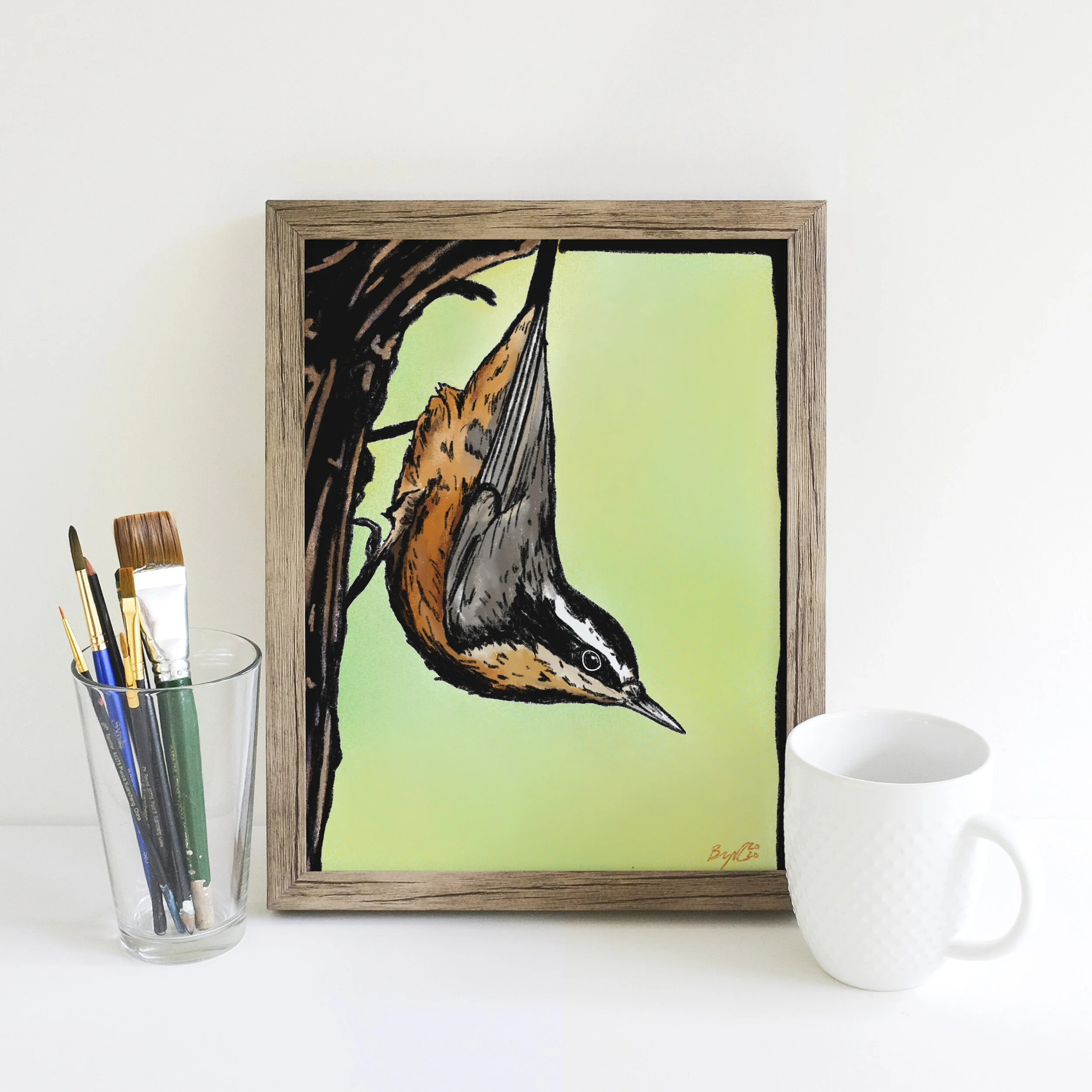 Nuthatch Coloring Pages