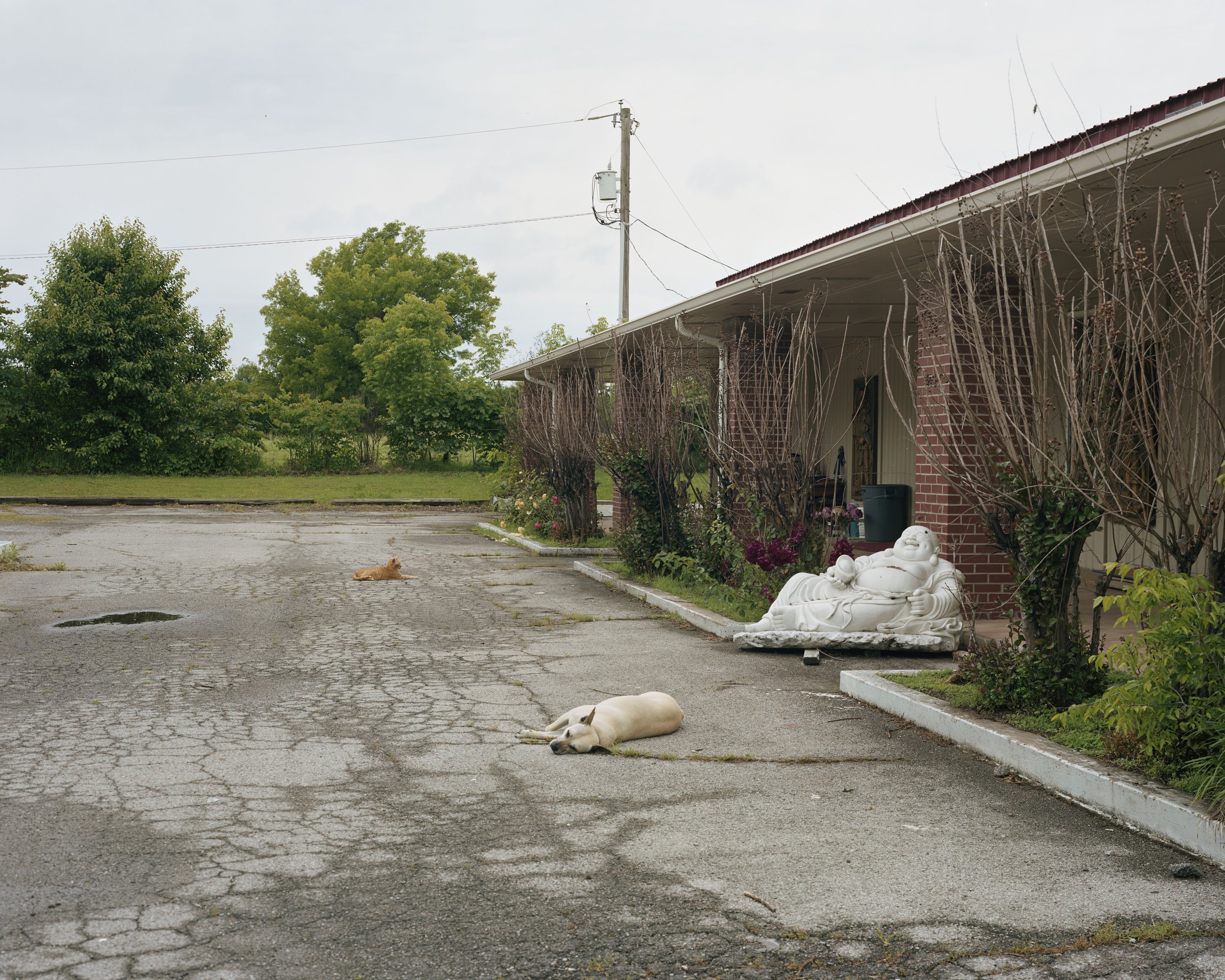 Alec Soth — Weinstein Hammons Gallery