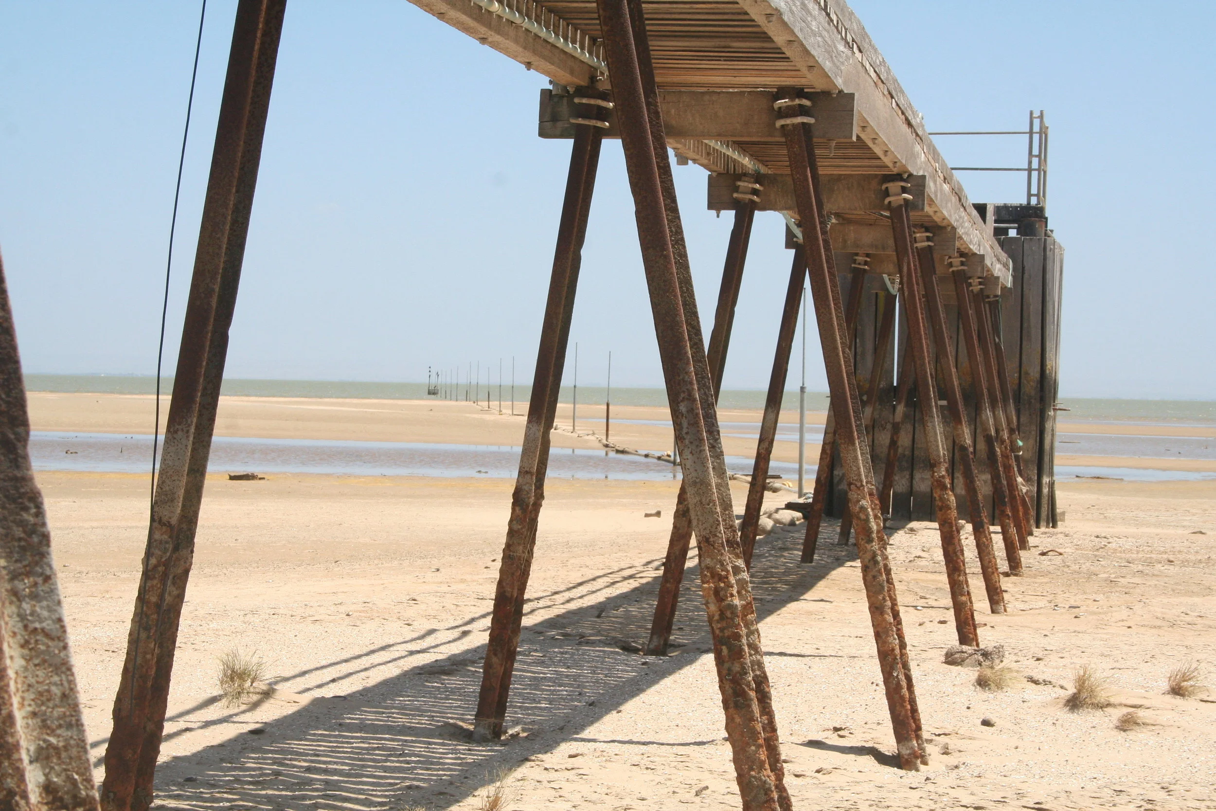 2009 Murray River Project Continued — Bonita Ely