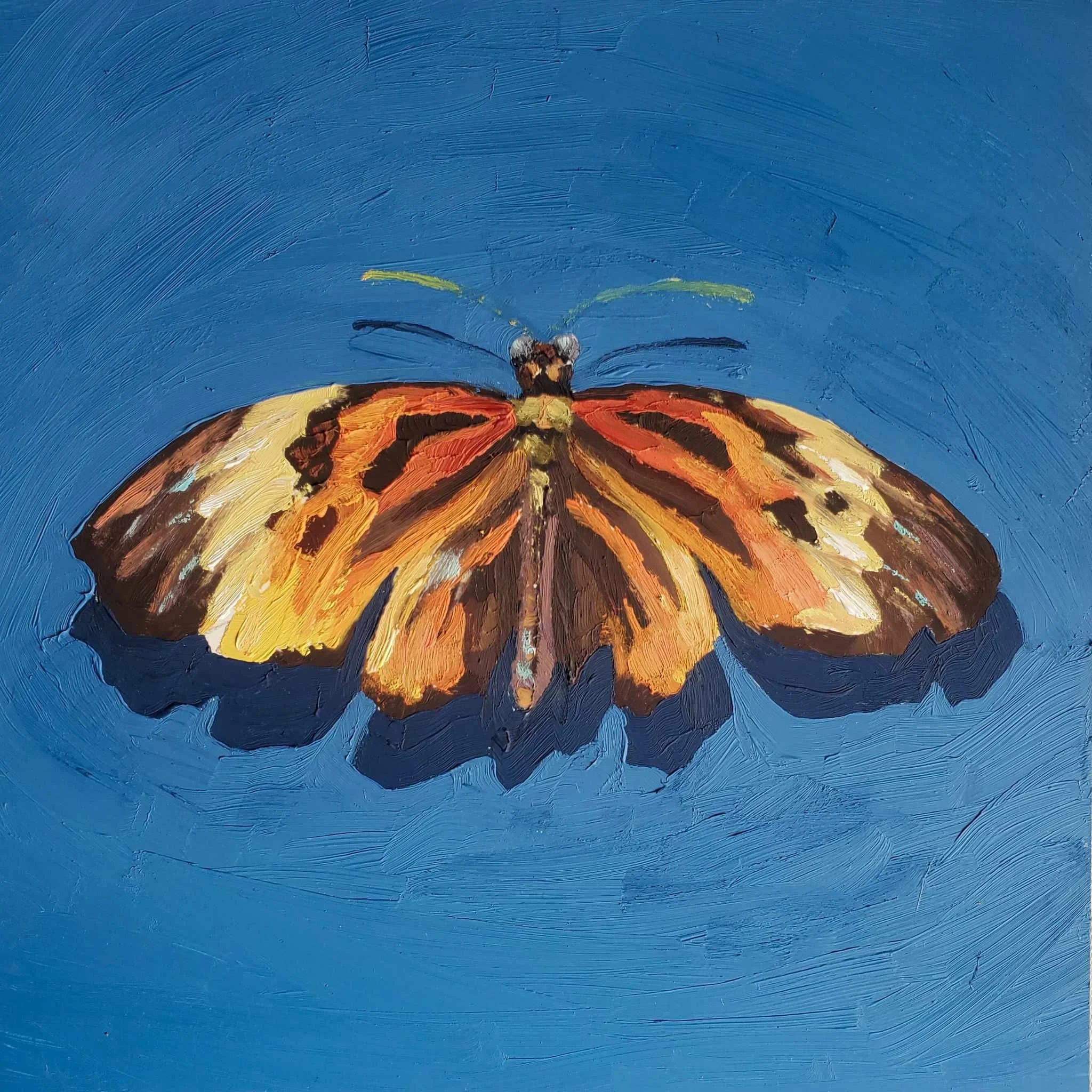 Alyssa Marie Gallery