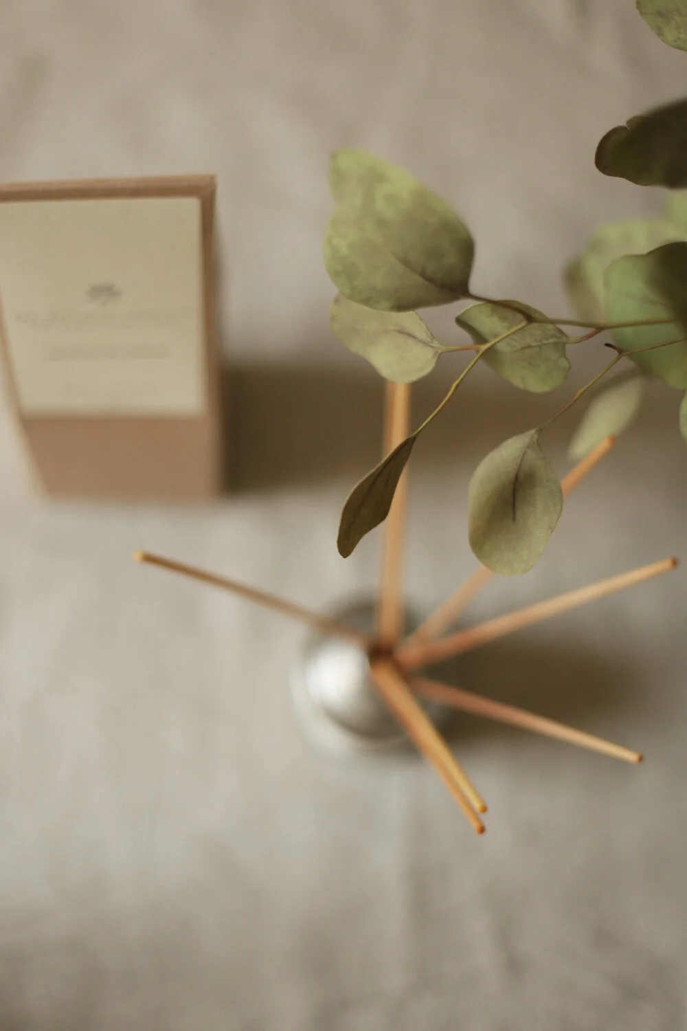 Bamboo Toothbrush - 4 Pack — Nadinoo