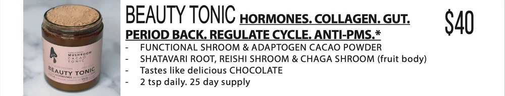 Chocapothecary - functional mushroom chocolate medicine