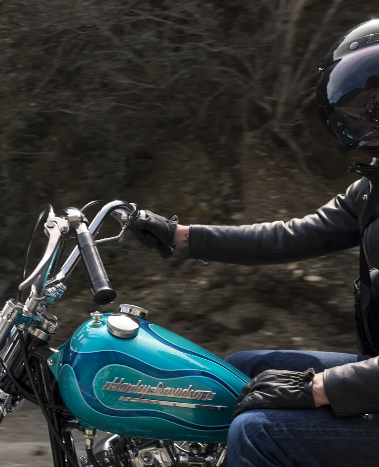 Meet the Family — DicE Magazine