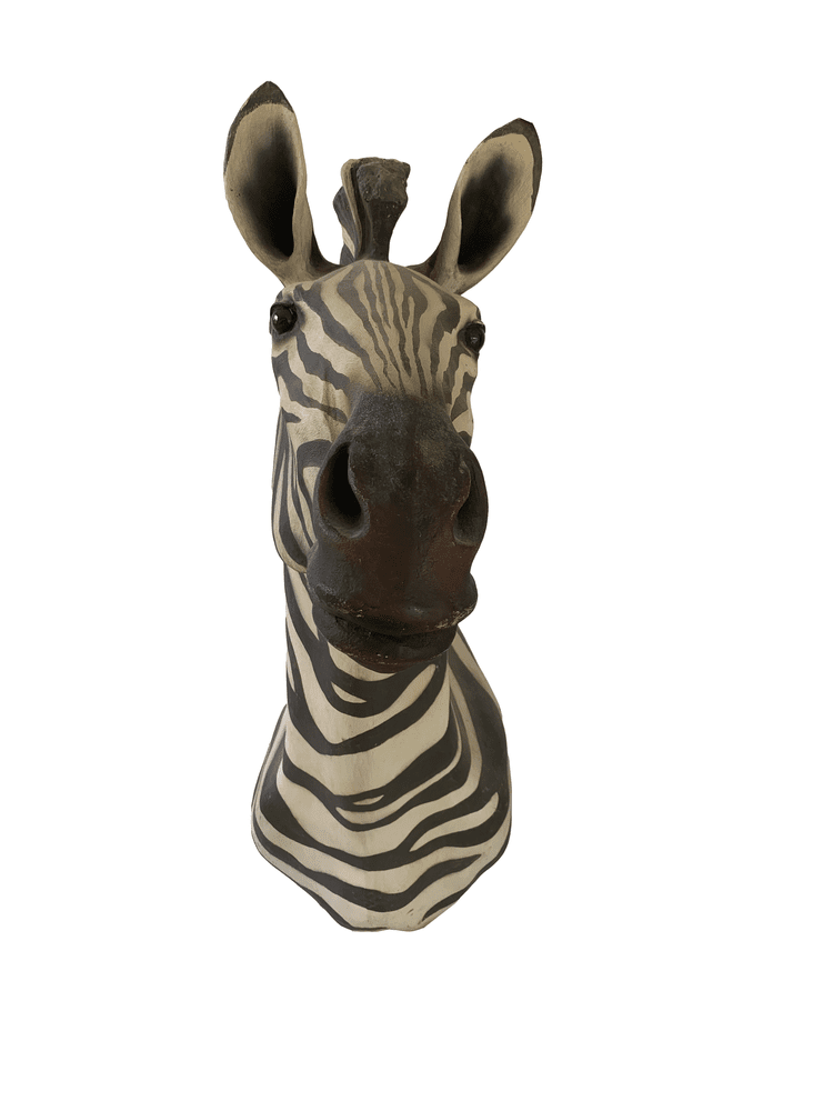 Zebra Head Png