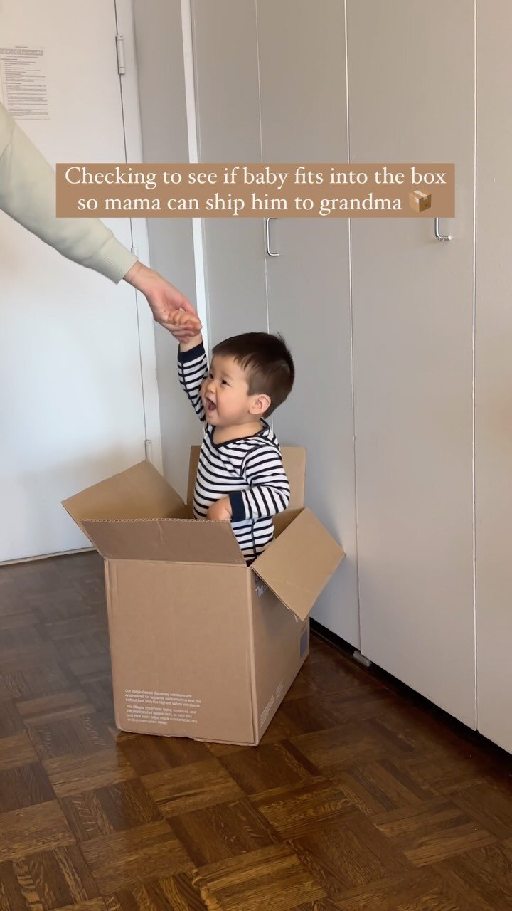 My favorite multi-tasking products you need to know about | Happily Ever Style